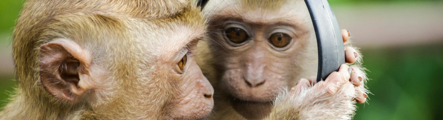 Reflexión es Cambio de Dirección – Física en Línea